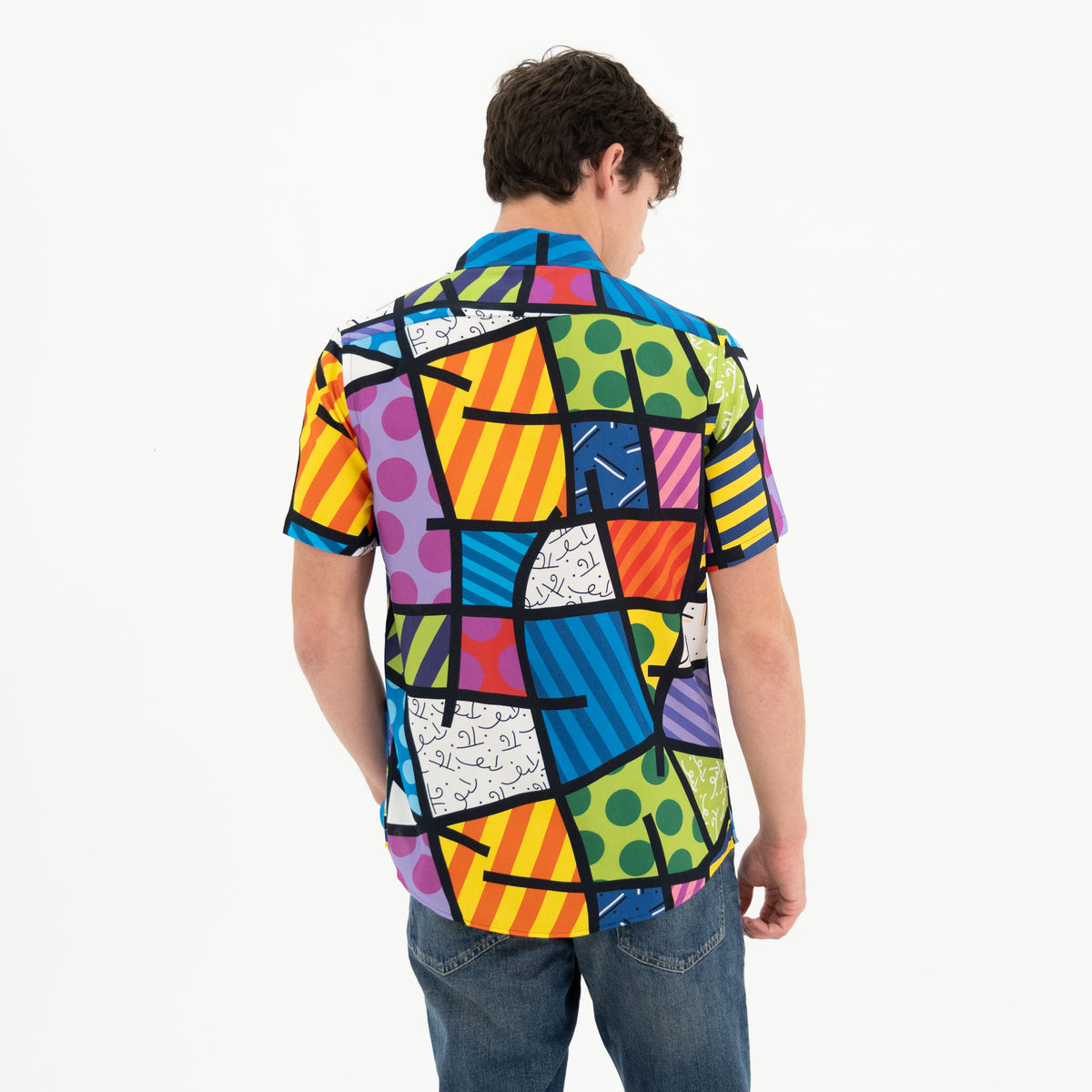 BRITTO® MEN'S SHORT SLEEVE BUTTON DOWN SHIRT - COLORFUL LANDSCAPE ...